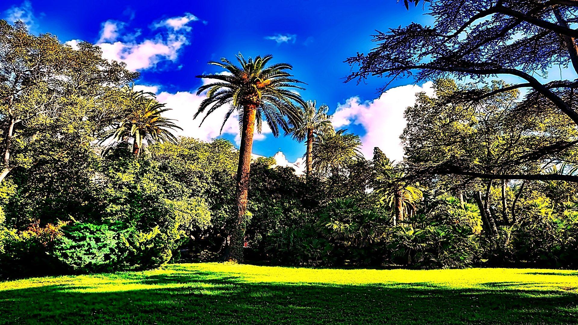 HD Garden Wallpapers - Top Free HD Garden Backgrounds - WallpaperAccess