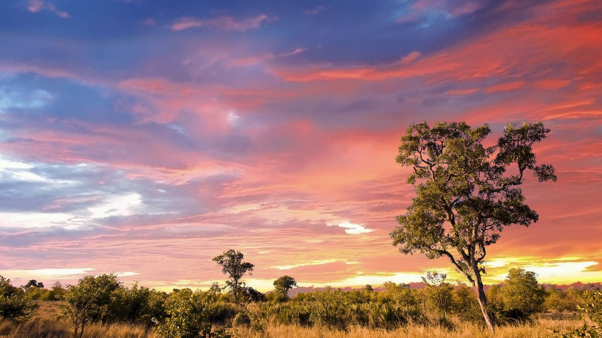 Kruger National Park Wallpapers - Top Free Kruger National Park ...