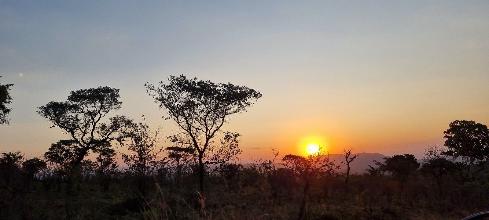 Kruger National Park Wallpapers - Top Free Kruger National Park ...