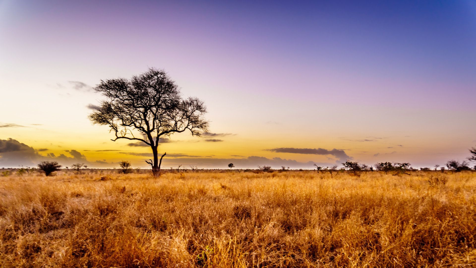 Kruger National Park Wallpapers - Top Free Kruger National Park ...