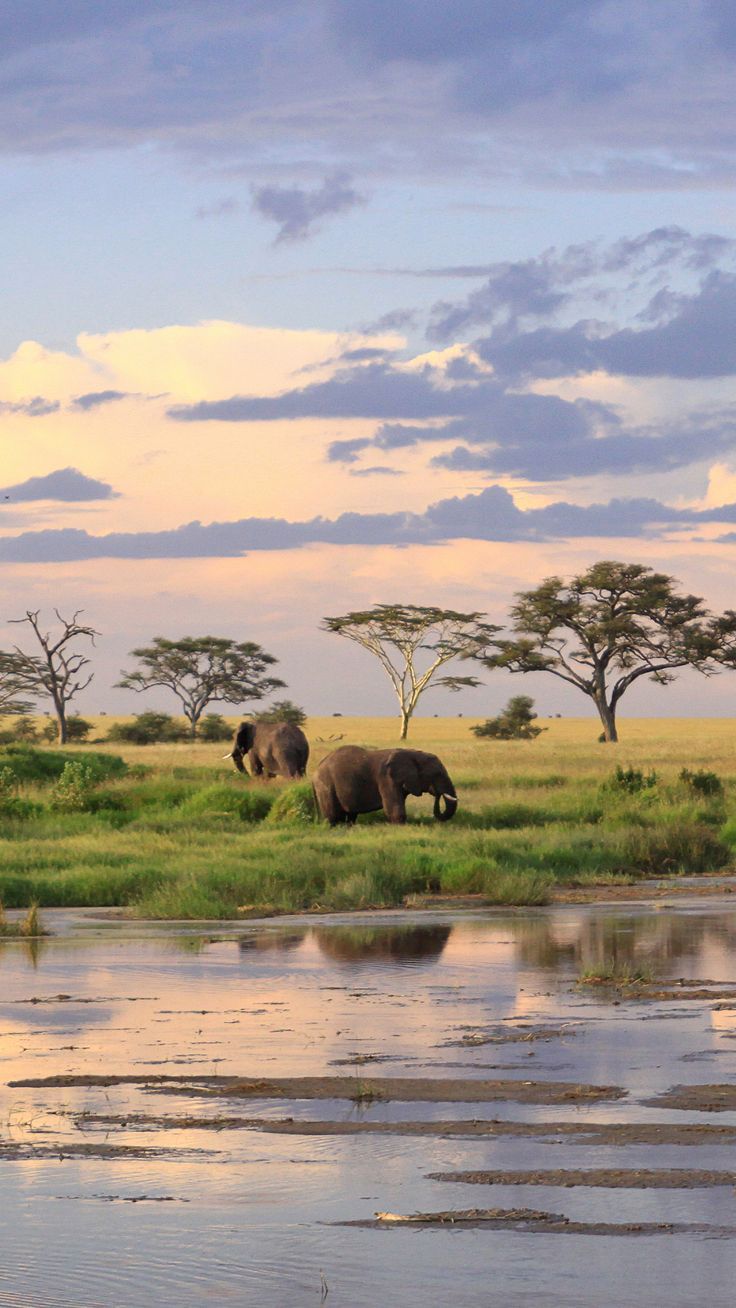 Kruger National Park Wallpapers - Top Free Kruger National Park ...