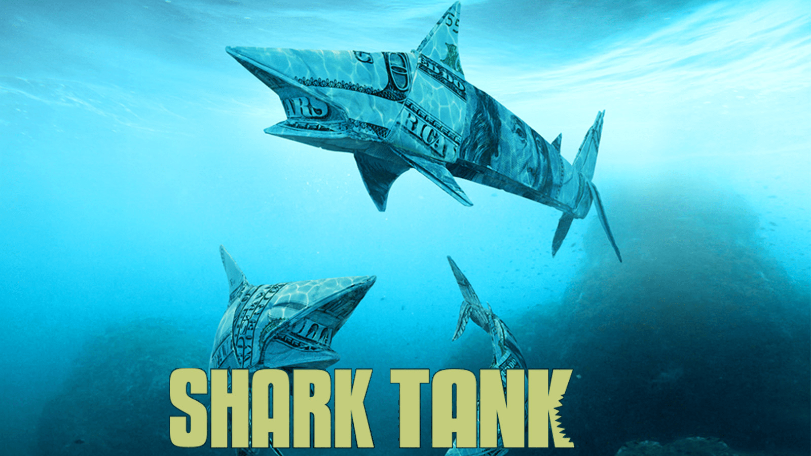 Shark Tank Wallpapers - Top Free Shark Tank Backgrounds - WallpaperAccess