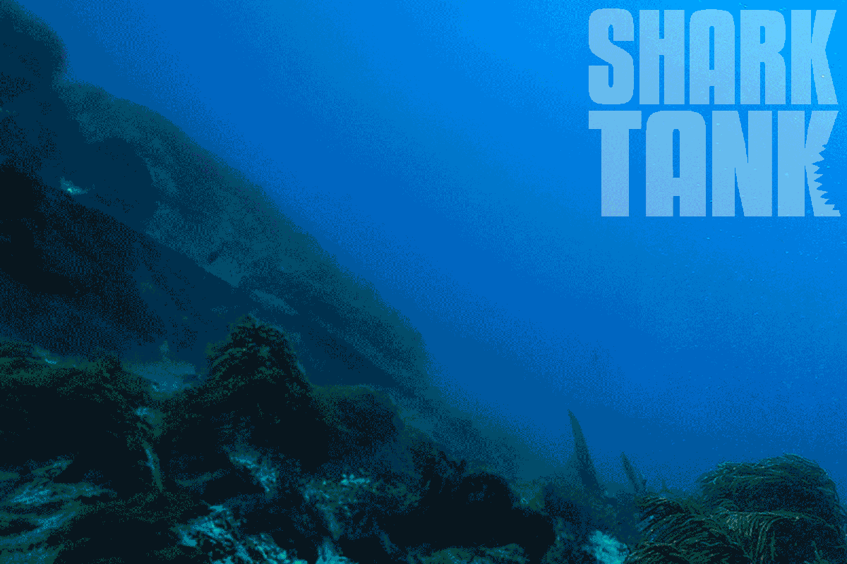 Shark Tank Wallpapers - Top Free Shark Tank Backgrounds - WallpaperAccess