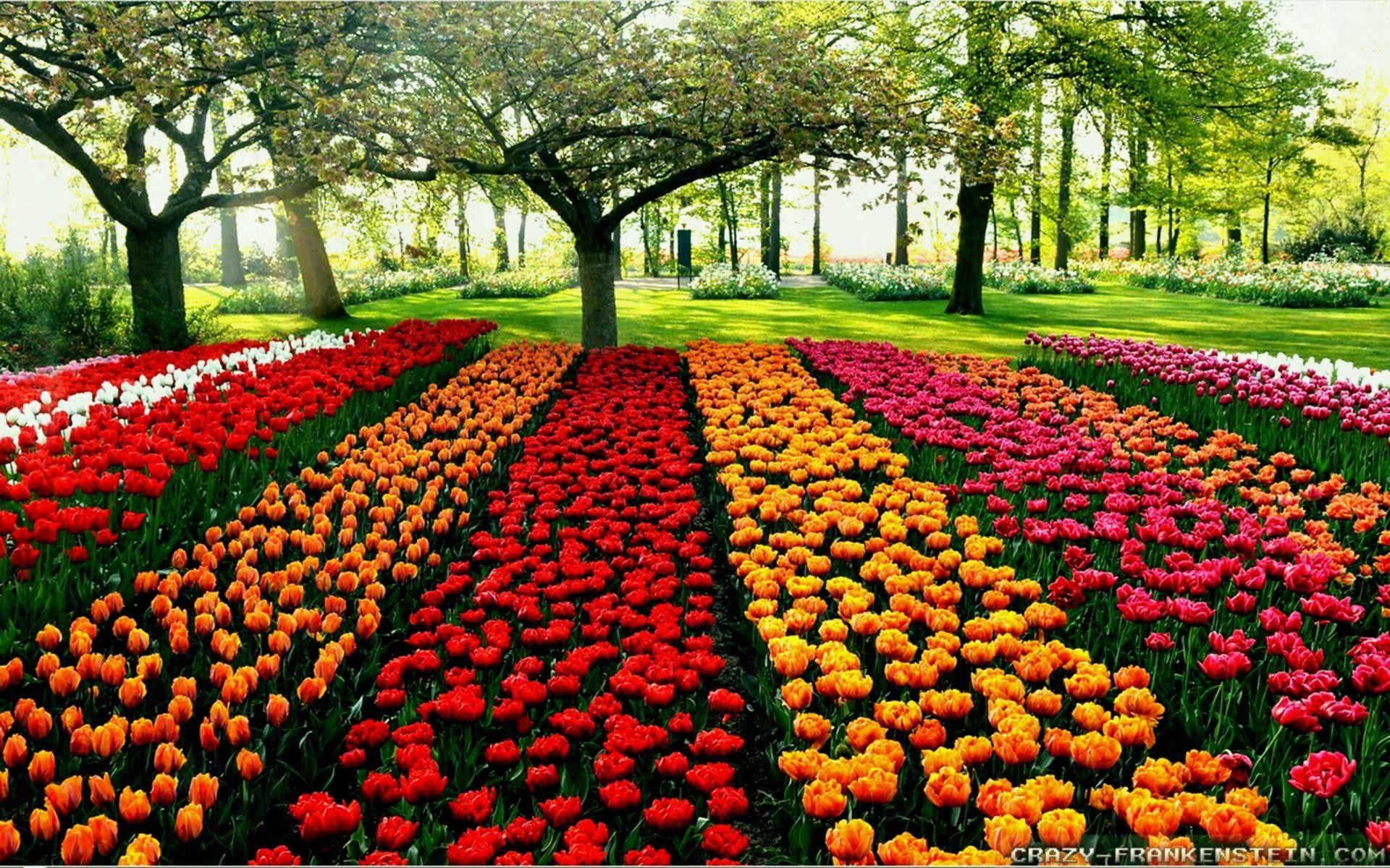 HD Garden Wallpapers - Top Free HD Garden Backgrounds - WallpaperAccess