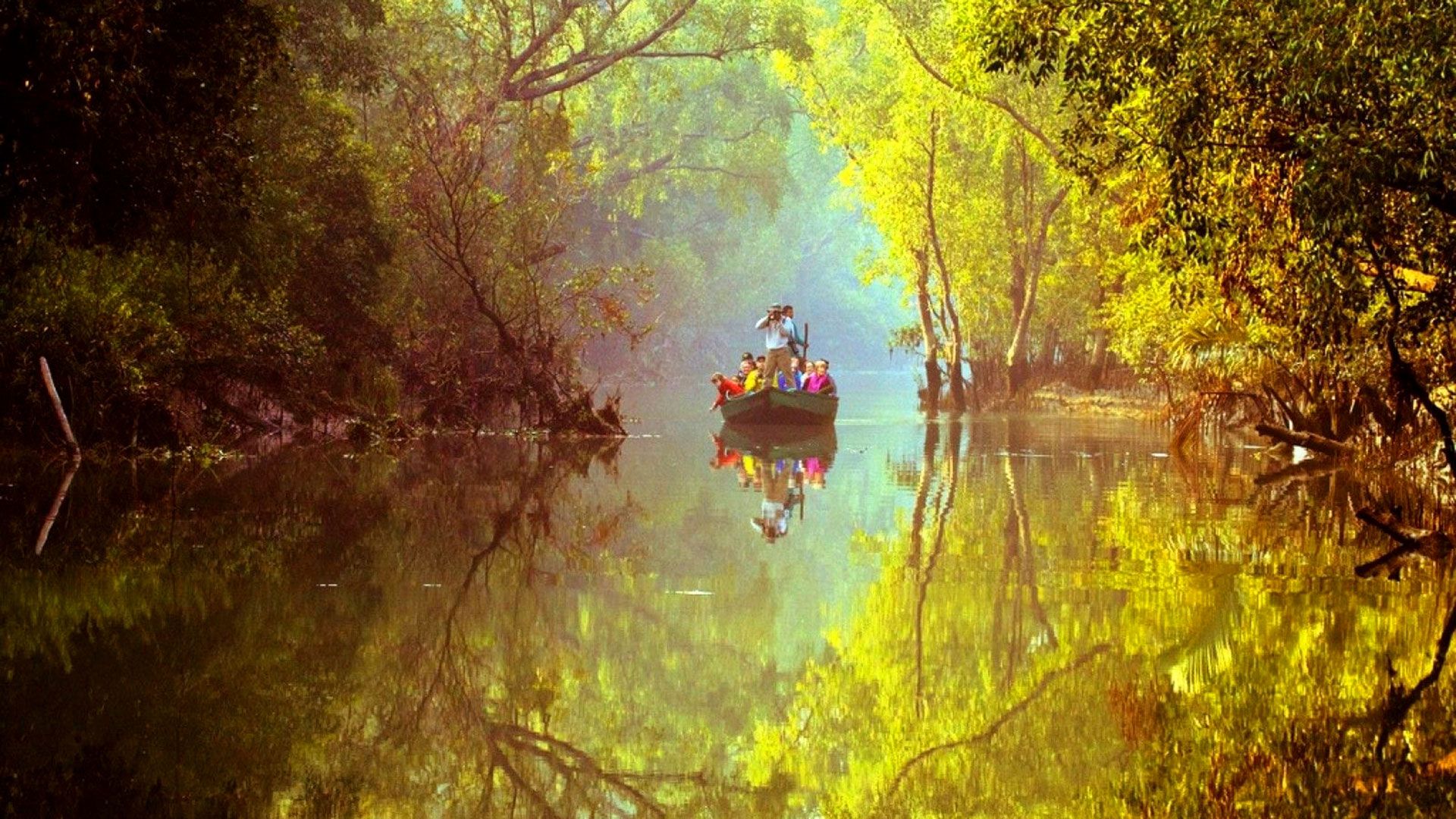 Sundarbans Wallpapers - Top Free Sundarbans Backgrounds - WallpaperAccess