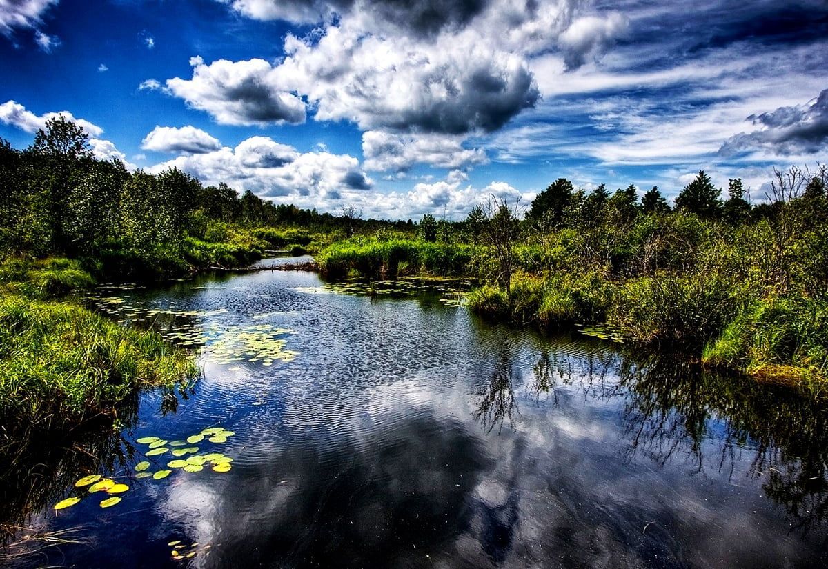Sundarbans Wallpapers - Top Free Sundarbans Backgrounds - WallpaperAccess