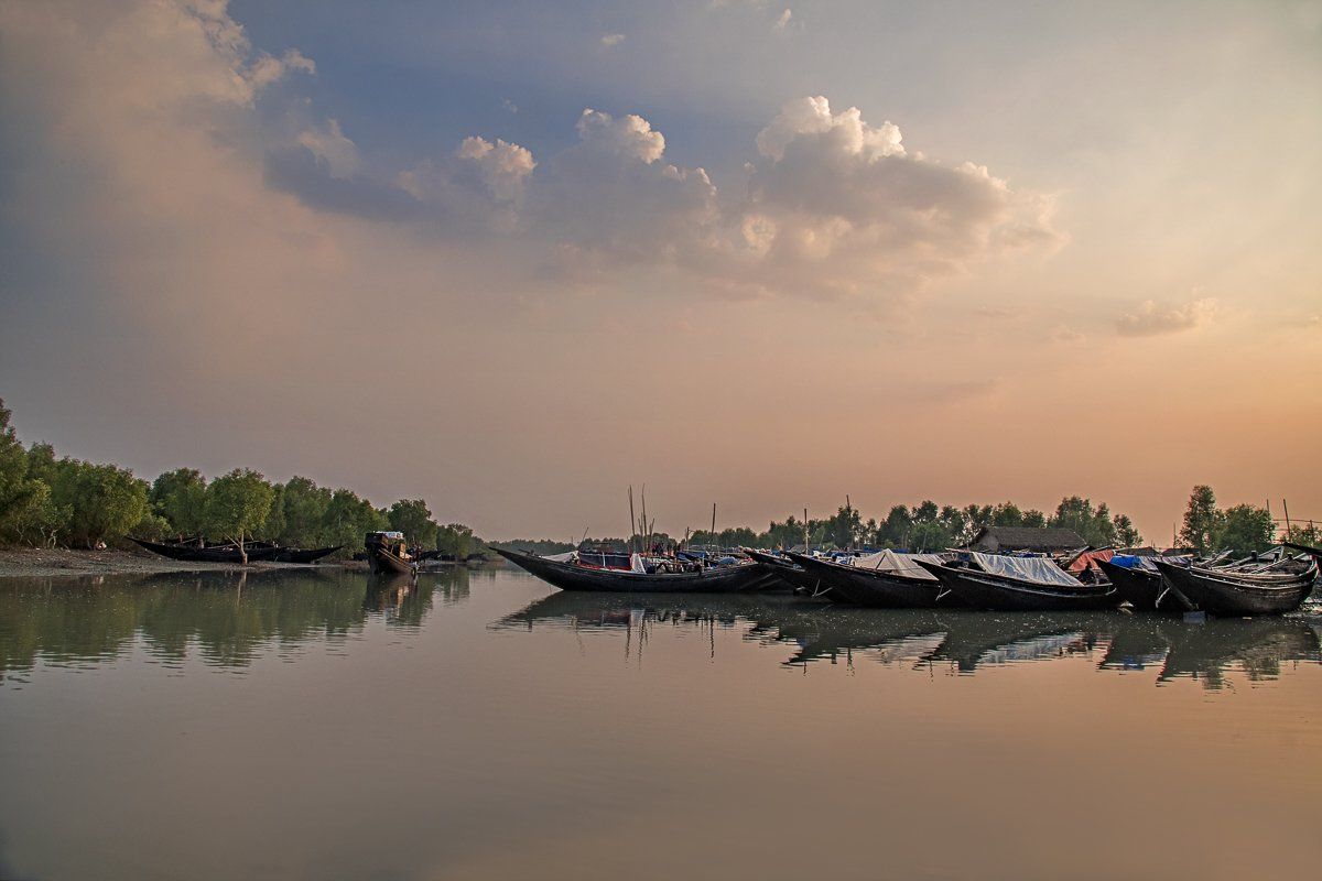 Sundarbans Wallpapers - Top Free Sundarbans Backgrounds - WallpaperAccess