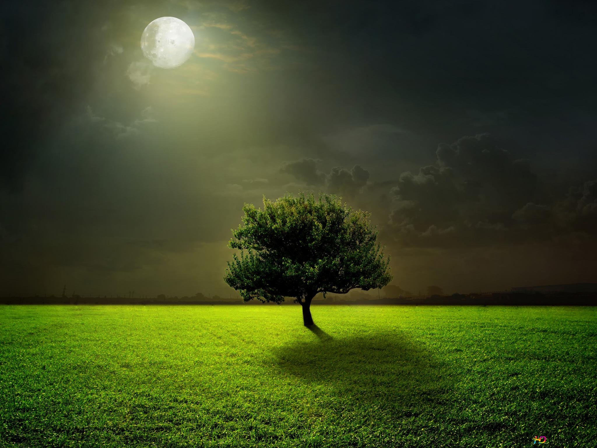 Pemandangan Malam Wallpapers - Top Free Pemandangan Malam Backgrounds ...