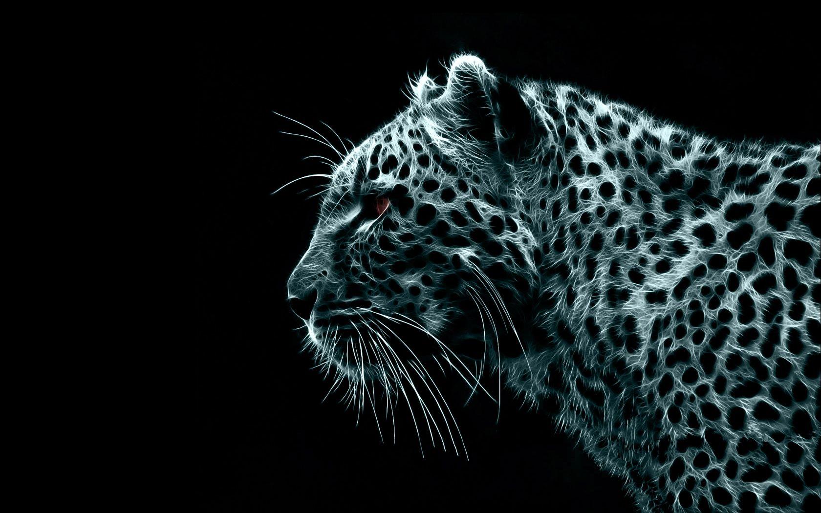 Dark Animals Wallpapers - Top Free Dark Animals Backgrounds ...