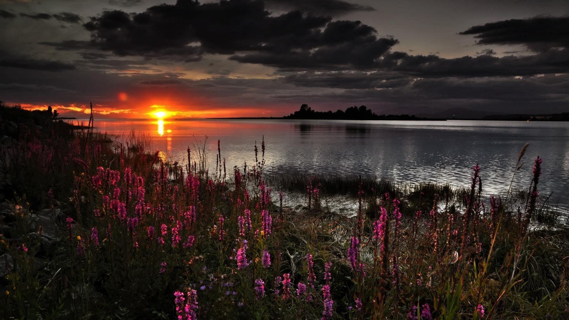 Beautiful Dark Landscape Wallpapers - Top Free Beautiful Dark Landscape ...