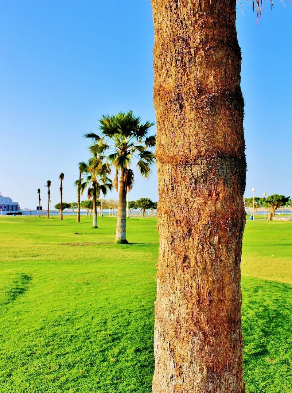 Khobar Wallpapers - Top Free Khobar Backgrounds - WallpaperAccess