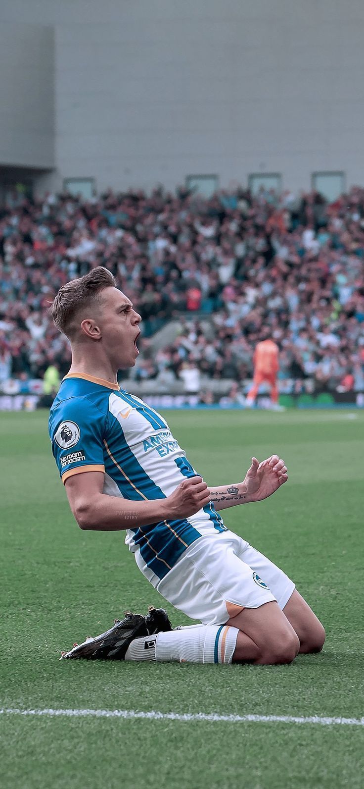 Trossard Wallpapers - Top Free Trossard Backgrounds - WallpaperAccess