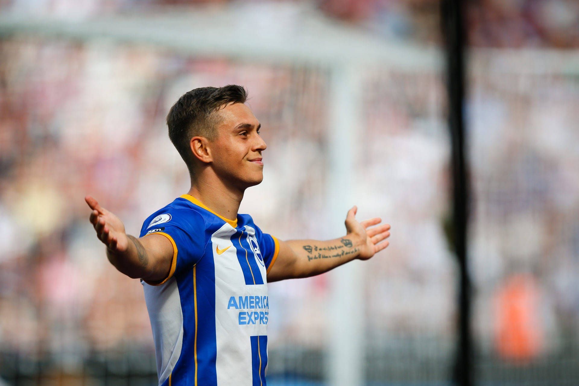 Trossard Wallpapers - Top Free Trossard Backgrounds - WallpaperAccess