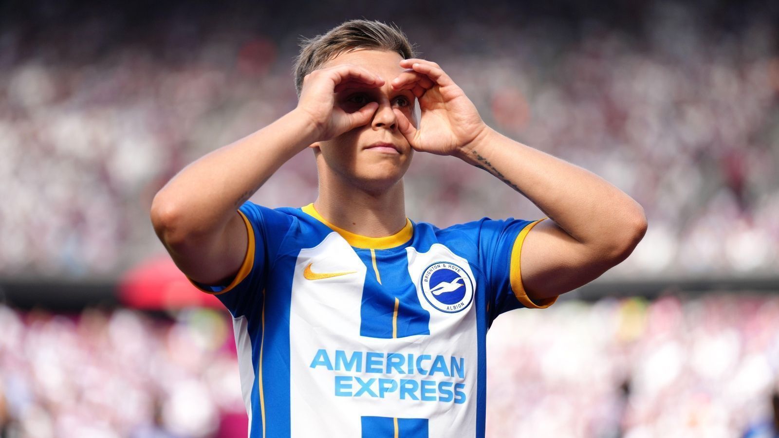 Trossard Wallpapers - Top Free Trossard Backgrounds - WallpaperAccess