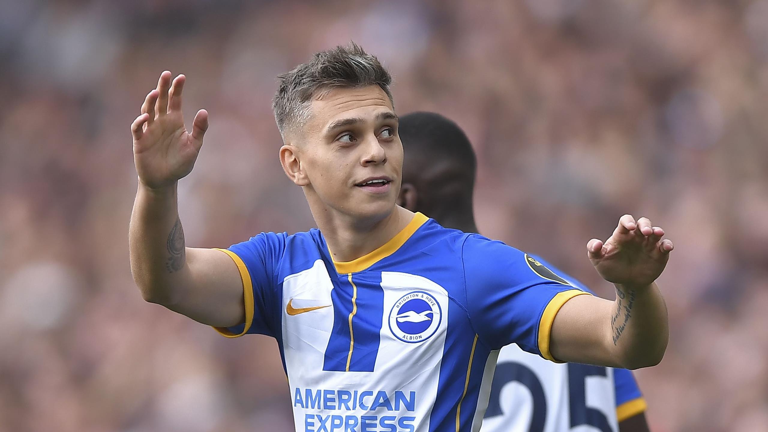 Trossard Wallpapers - Top Free Trossard Backgrounds - WallpaperAccess