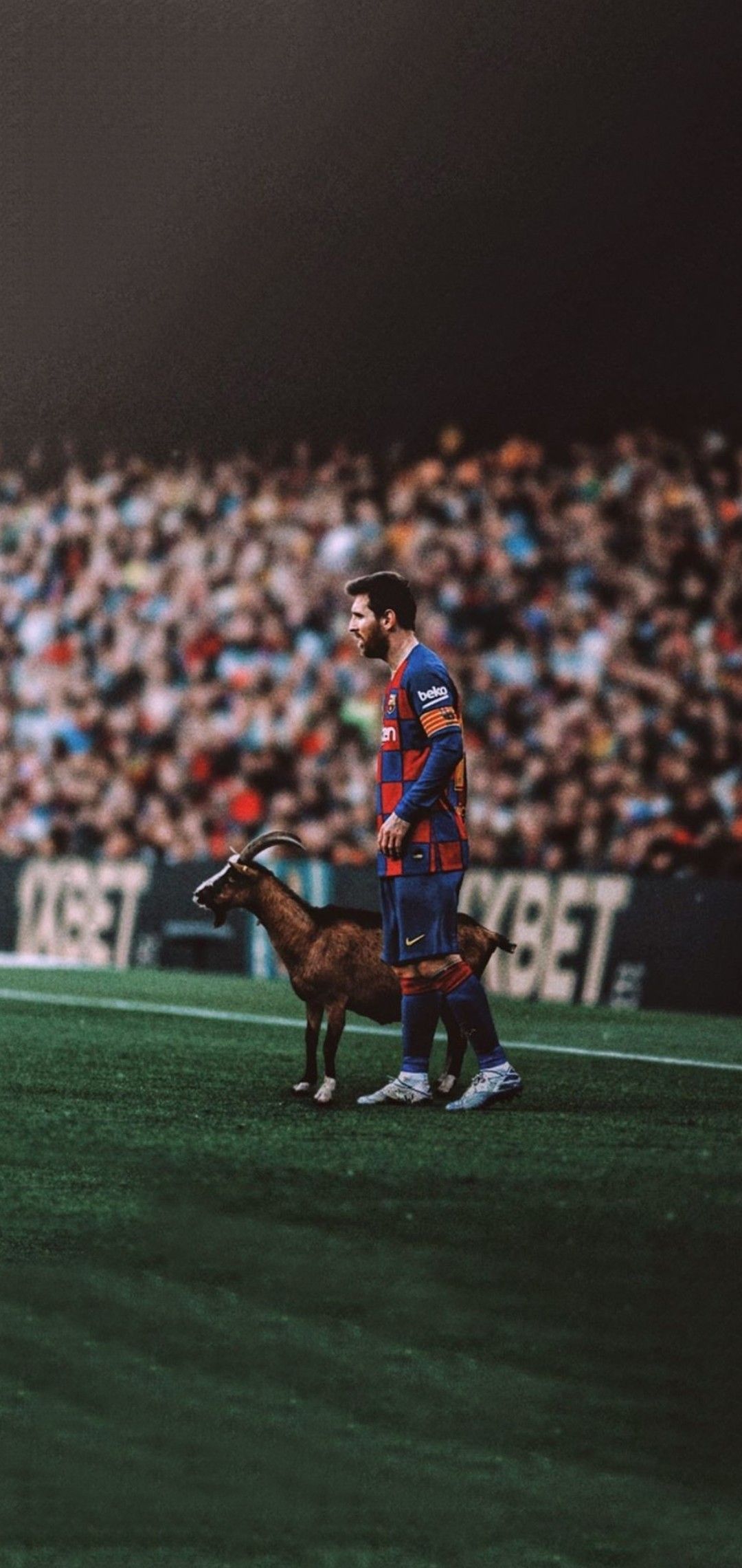 Messi With Goat Wallpapers - Top Free Messi With Goat Backgrounds ...