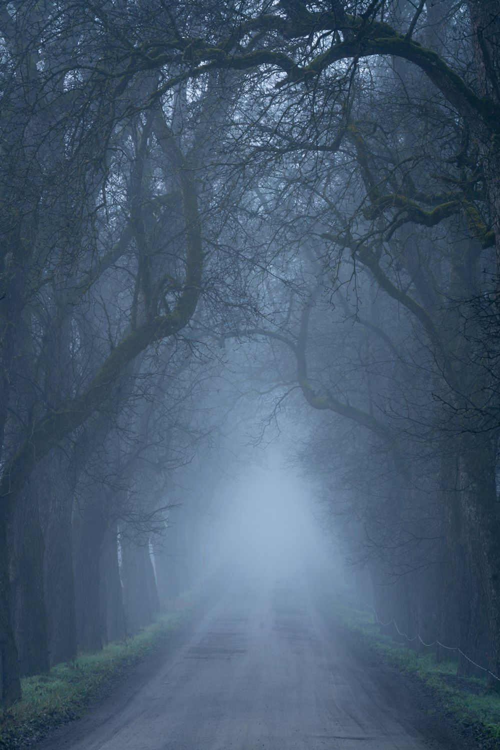 Foggy Road Wallpapers - Top Free Foggy Road Backgrounds - WallpaperAccess