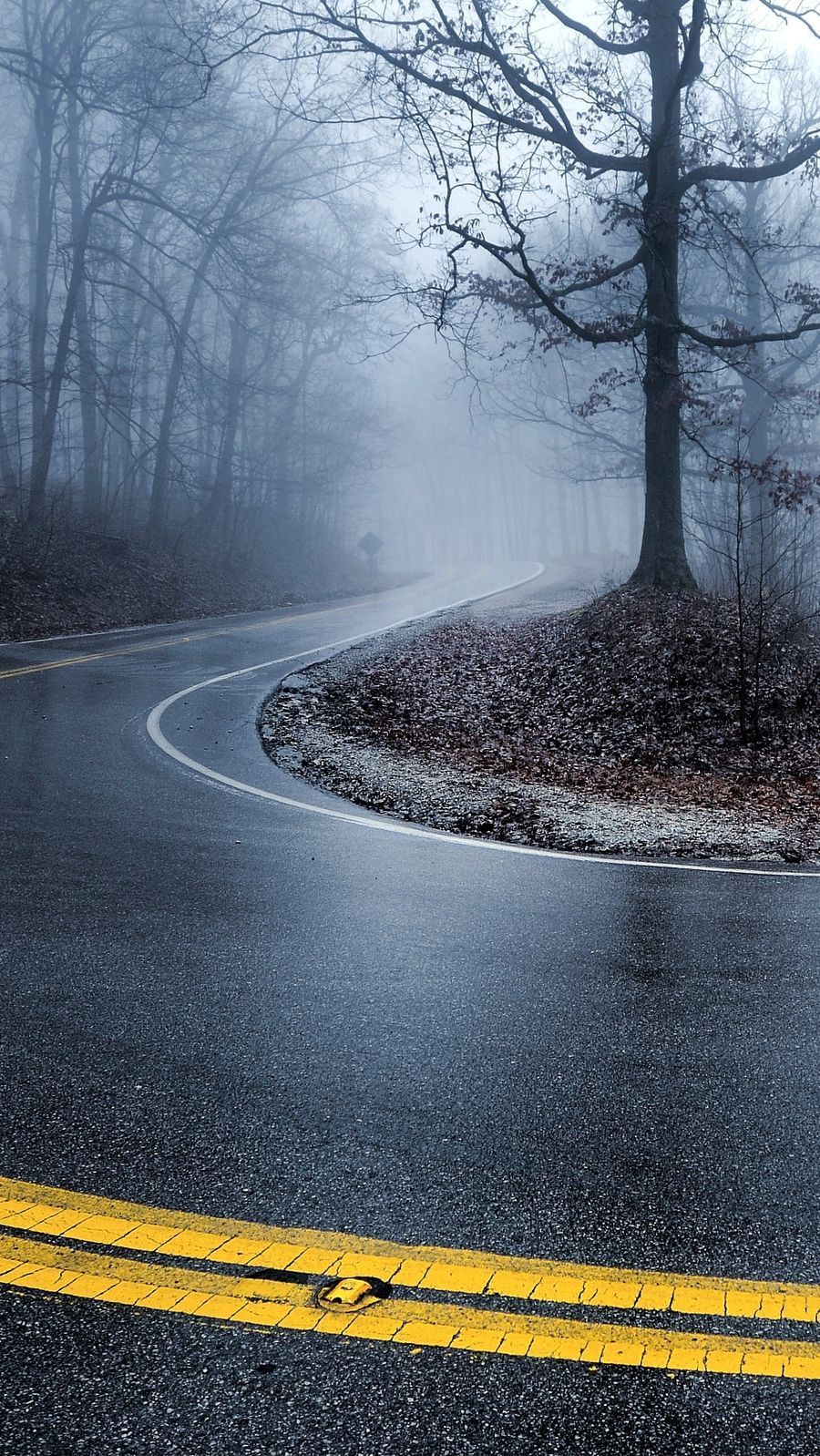 Foggy Road Wallpapers - Top Free Foggy Road Backgrounds - WallpaperAccess