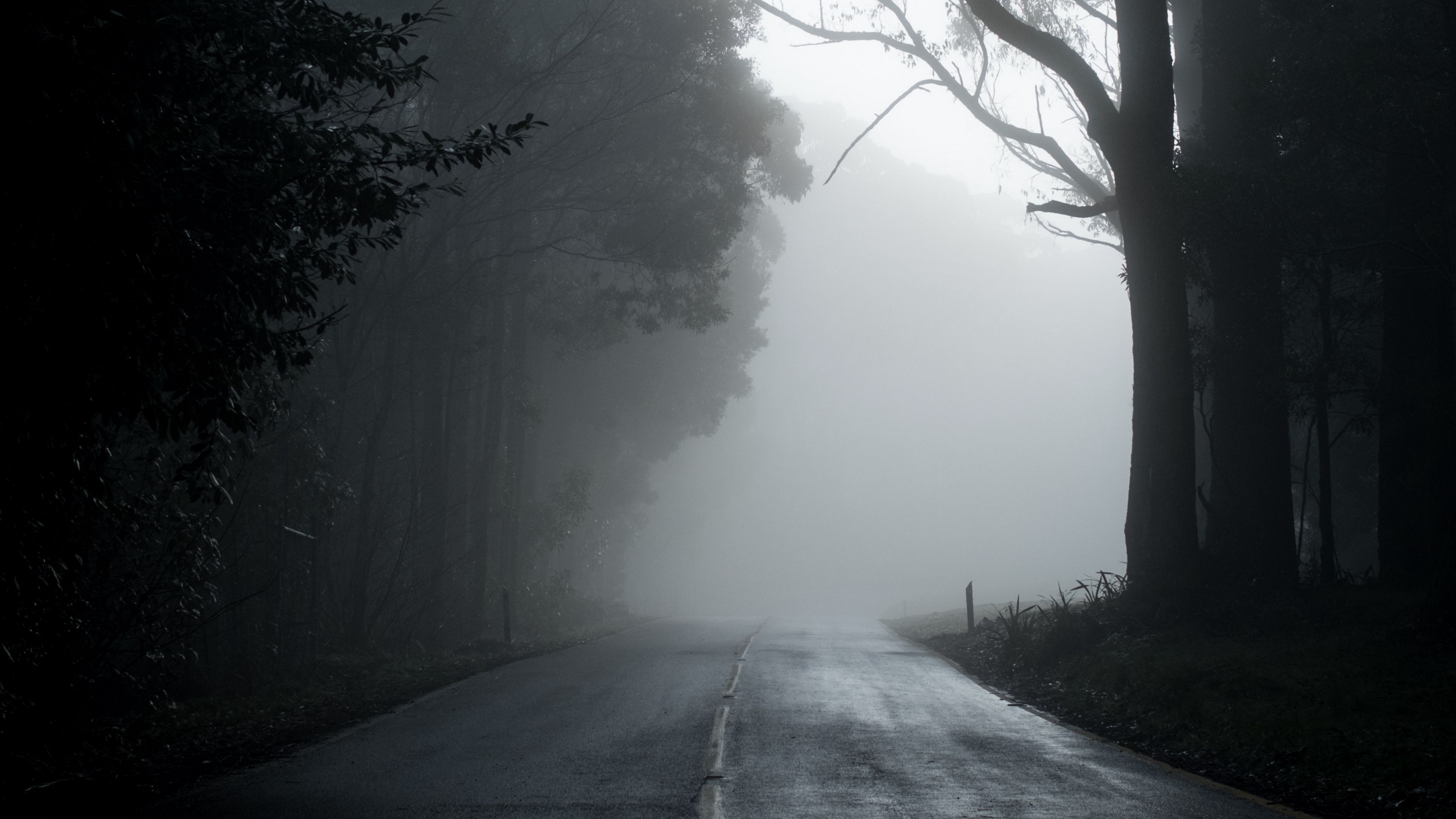 Foggy Road Wallpapers - Top Free Foggy Road Backgrounds - WallpaperAccess