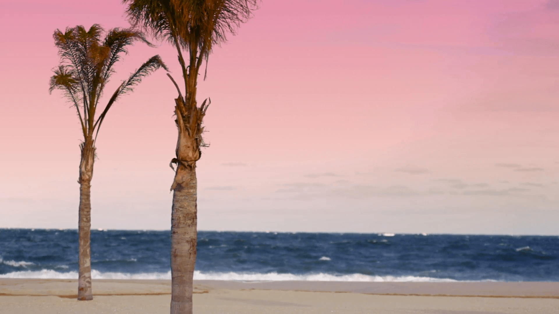 80s Palm Trees Wallpapers - Top Free 80s Palm Trees Backgrounds ...
