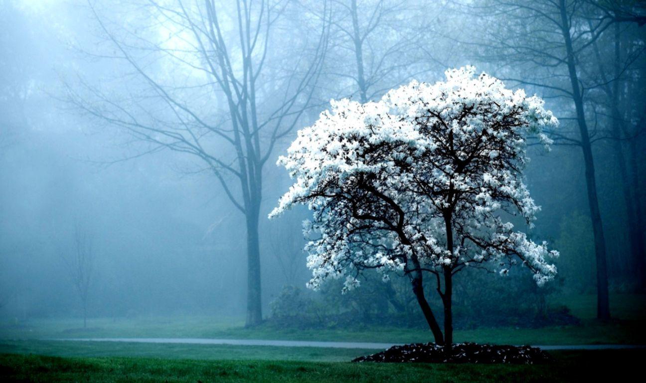 Super Cool Desktop Wallpapers - Top Free Super Cool Desktop Backgrounds ...