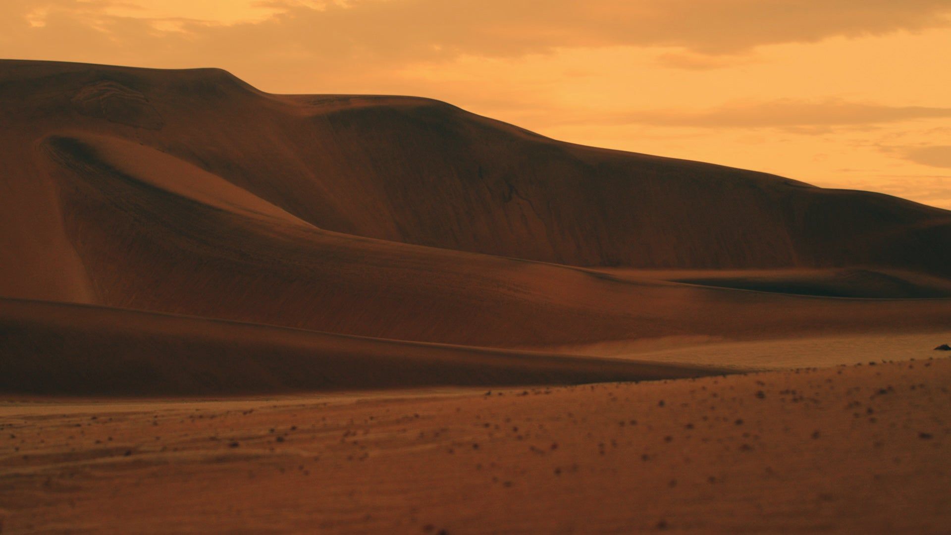 Blade Runner 2048 Wallpapers - Top Free Blade Runner 2048 Backgrounds ...