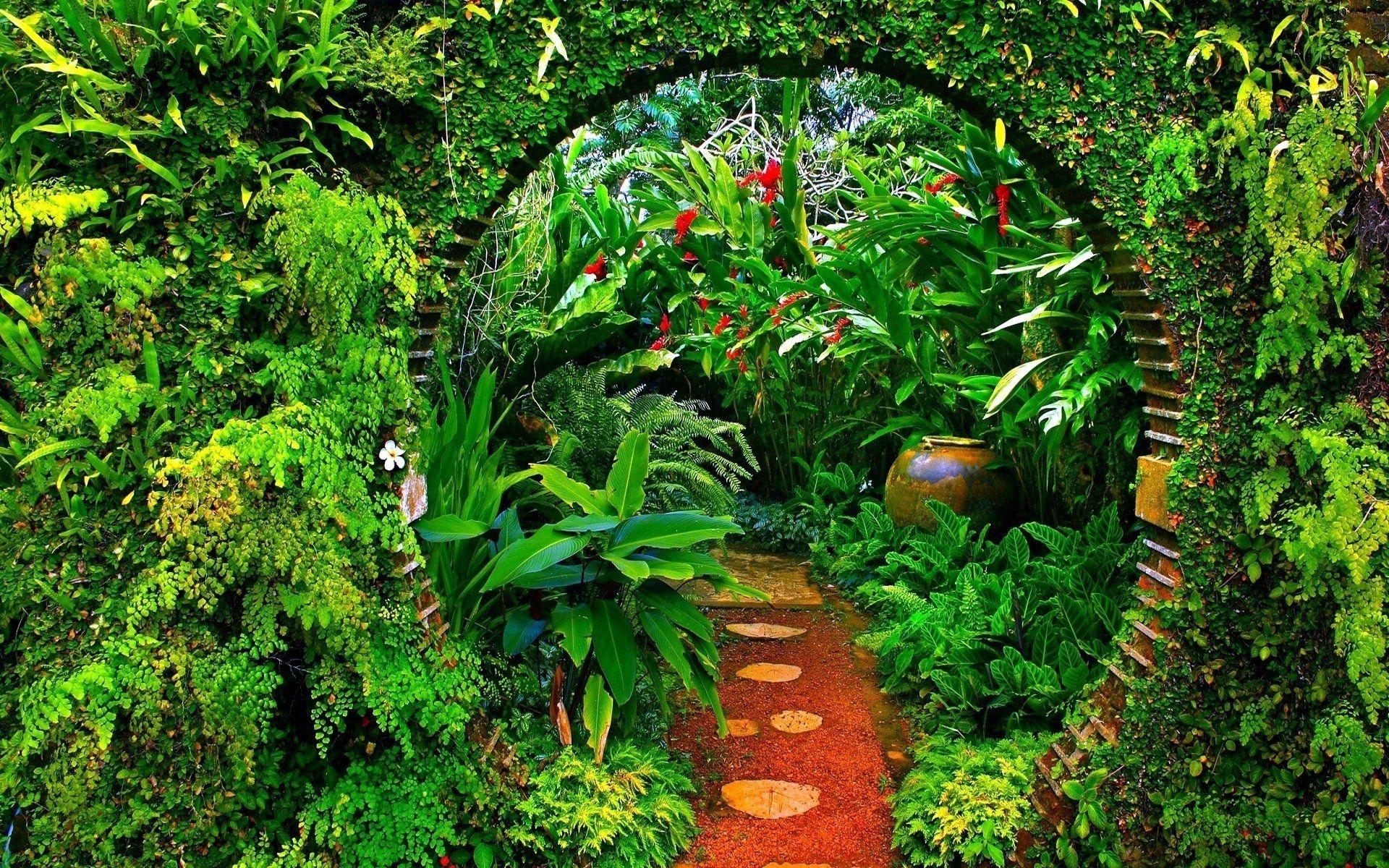 Super Cool Garden Wallpapers - Top Free Super Cool Garden Backgrounds ...