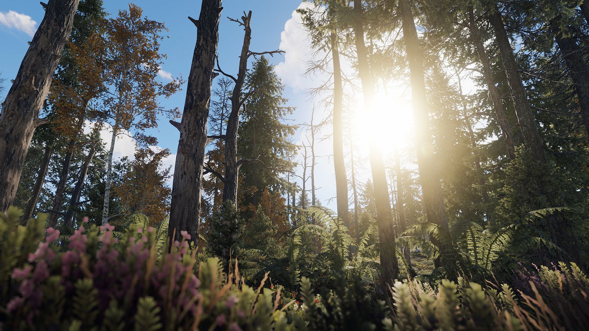 Rust 4k Wallpapers - Top Free Rust 4k Backgrounds - WallpaperAccess