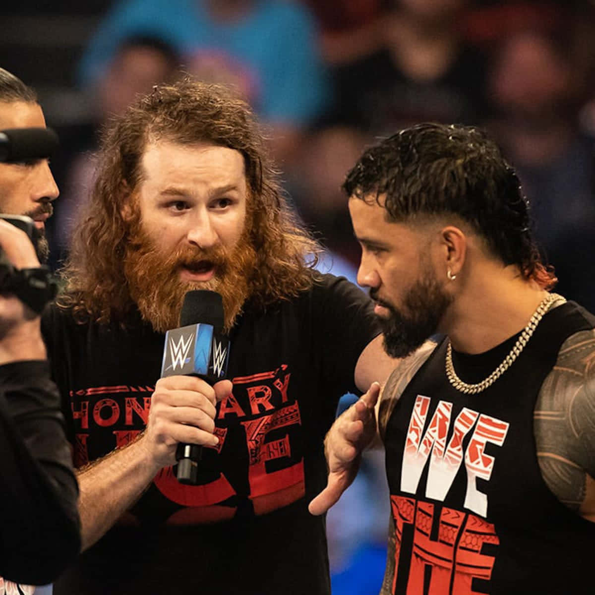 Sami Zayn Wallpapers - Top Free Sami Zayn Backgrounds - WallpaperAccess