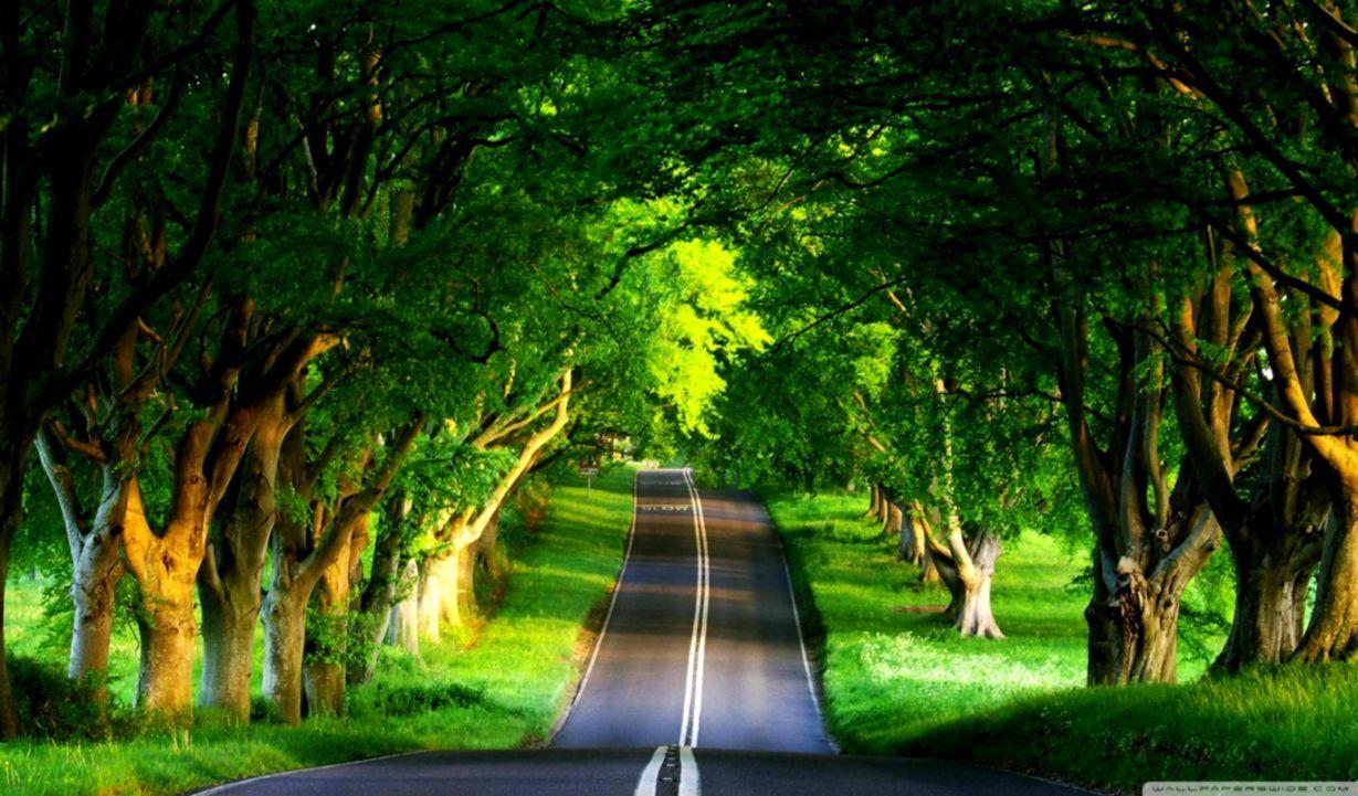 Summer 4K Wallpapers - Top Free Summer 4K Backgrounds - WallpaperAccess
