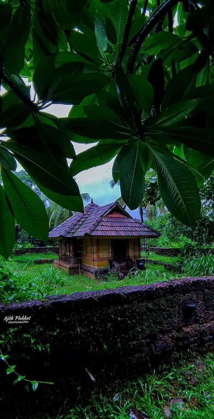 Kerala Photography Wallpapers - Top Free Kerala Photography Backgrounds ...