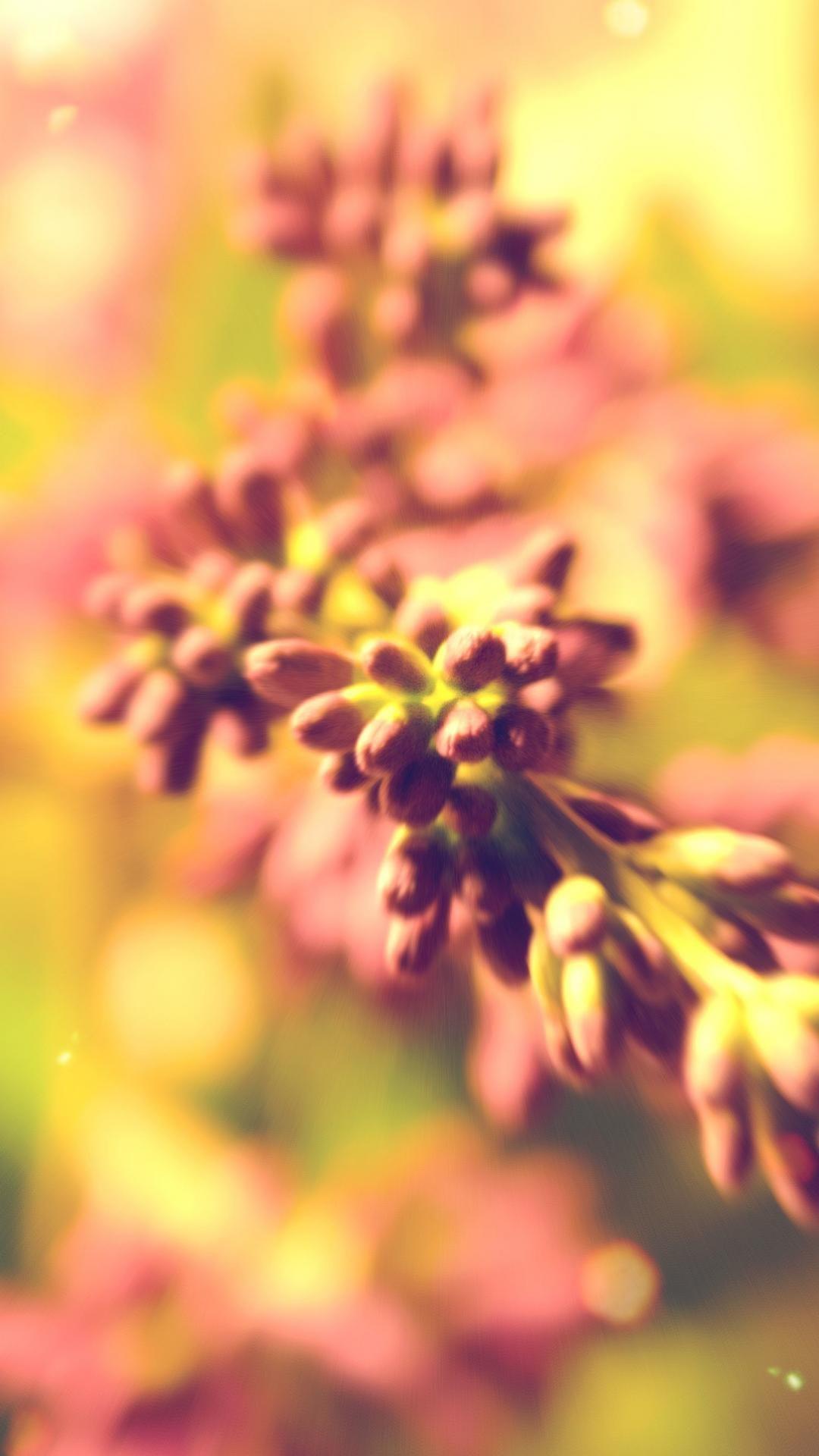Warm Wallpapers - Top Free Warm Backgrounds - WallpaperAccess