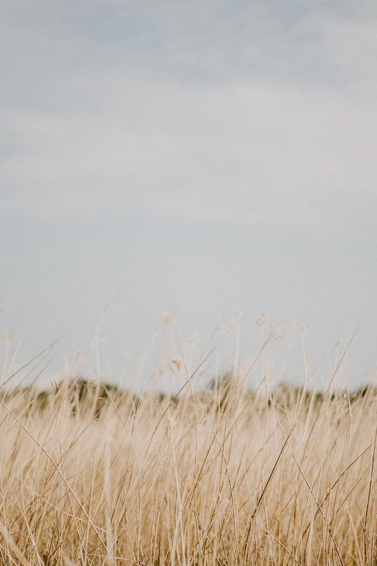 Neutral Nature Wallpapers - Top Free Neutral Nature Backgrounds ...