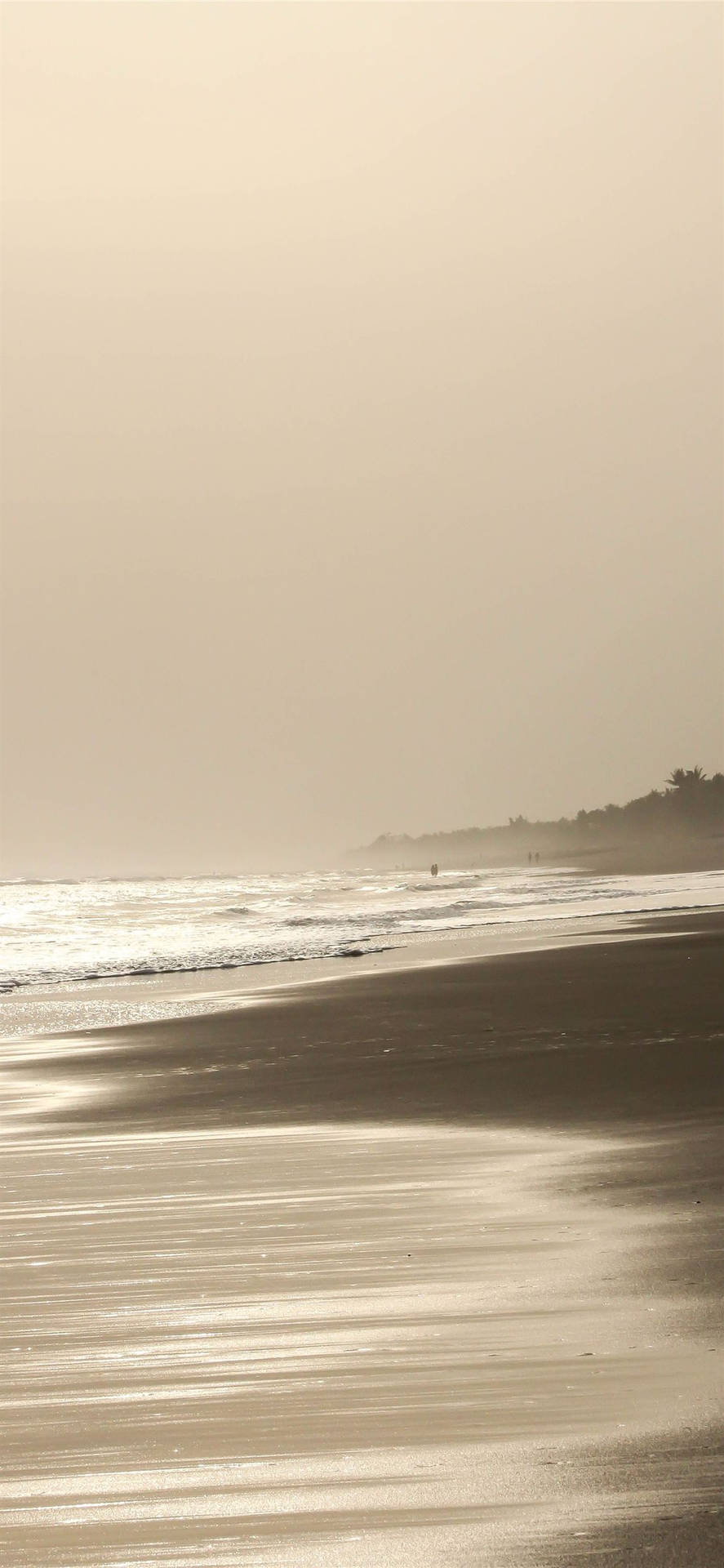 Neutral Nature Wallpapers - Top Free Neutral Nature Backgrounds ...