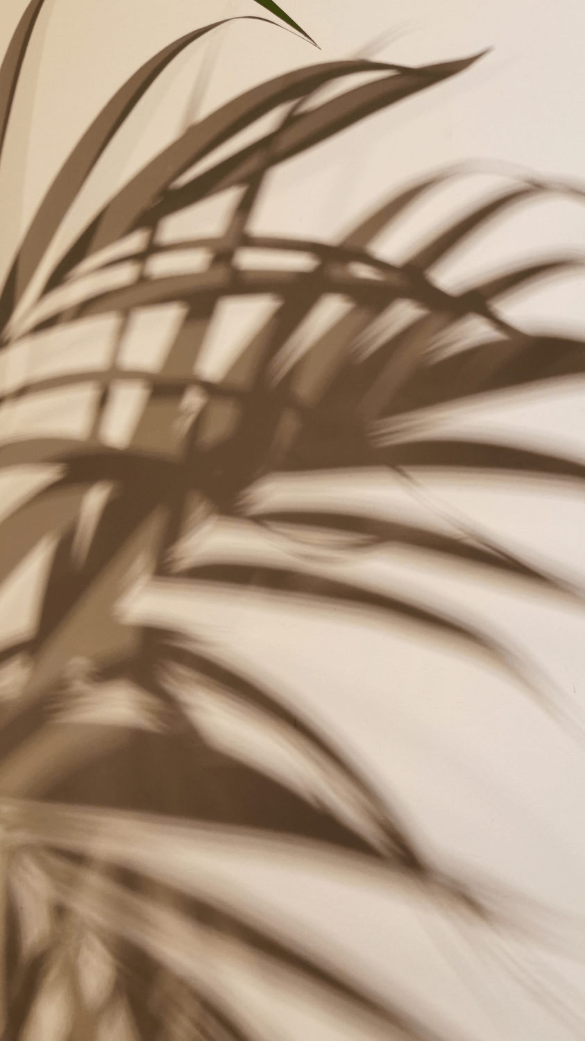 Neutral Nature Wallpapers - Top Free Neutral Nature Backgrounds ...