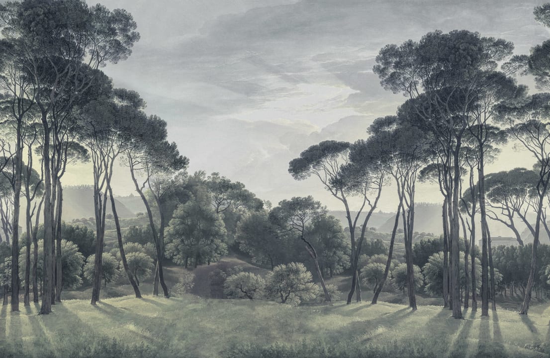 Neutral Nature Wallpapers - Top Free Neutral Nature Backgrounds ...