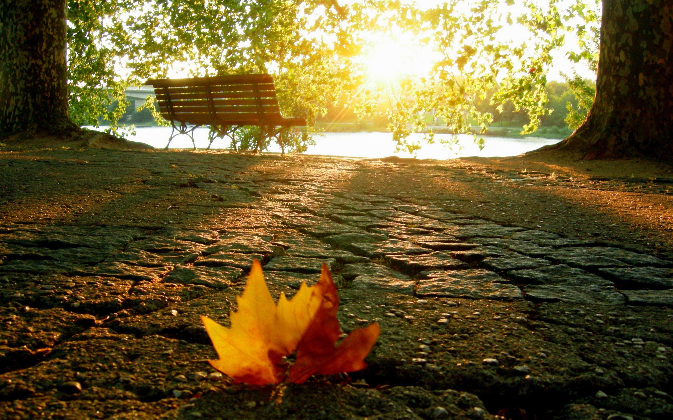 Relaxing Fall Wallpapers - Top Free Relaxing Fall Backgrounds ...