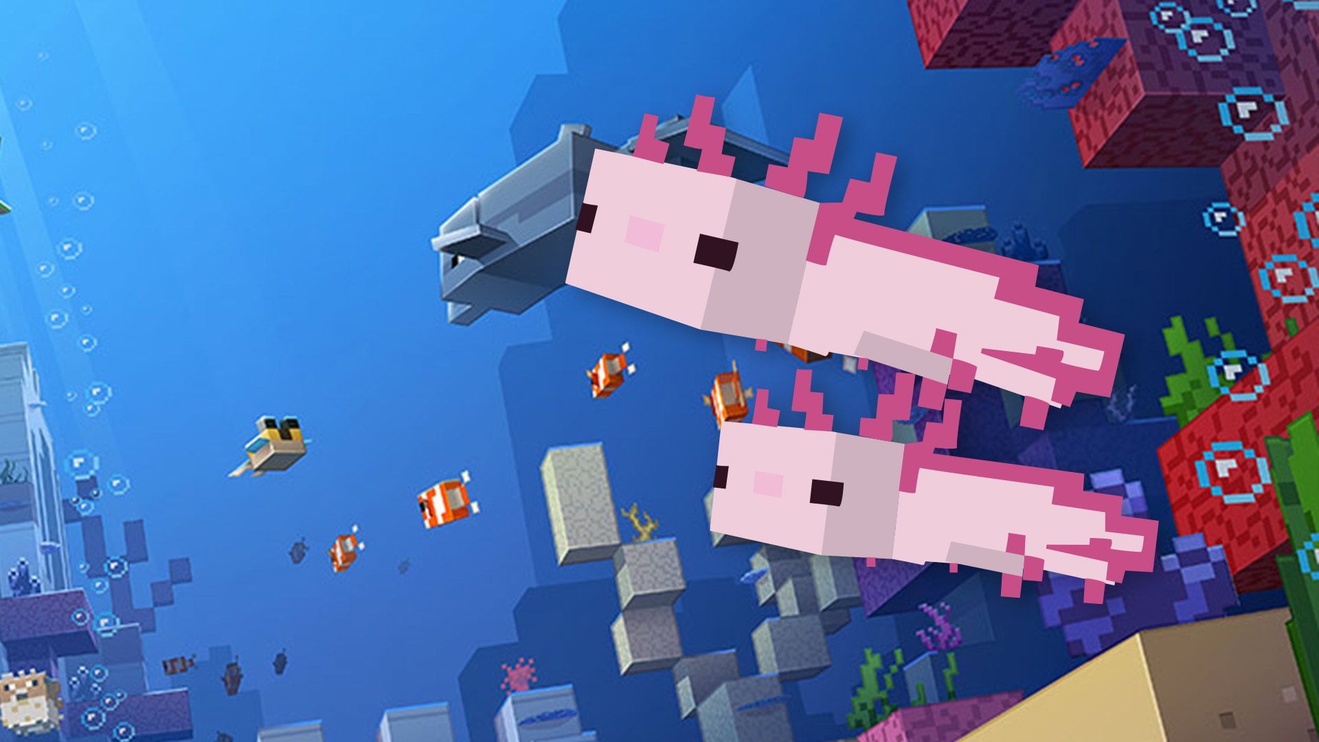 Minecraft Axolotl Wallpapers - Top Free Minecraft Axolotl Backgrounds ...