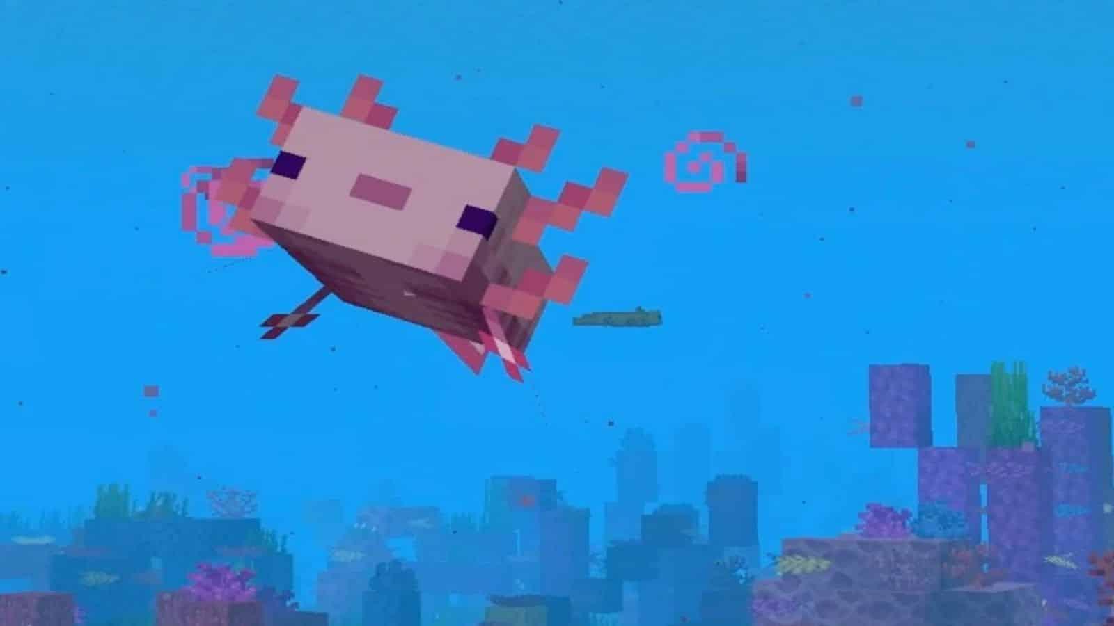 Minecraft Axolotl Wallpapers - Top Free Minecraft Axolotl Backgrounds ...