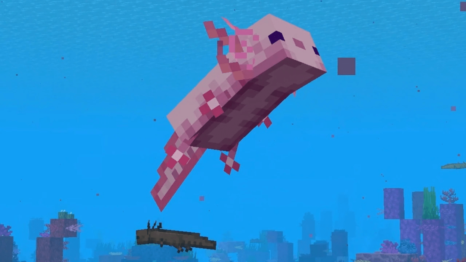 Minecraft Axolotl Wallpapers - Top Free Minecraft Axolotl Backgrounds ...