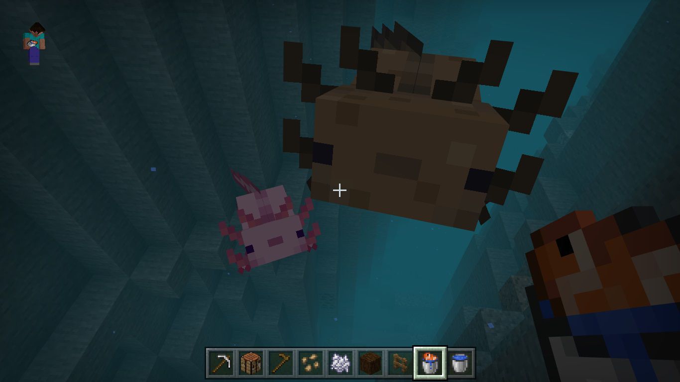 Minecraft Axolotl Wallpapers - Top Free Minecraft Axolotl Backgrounds ...