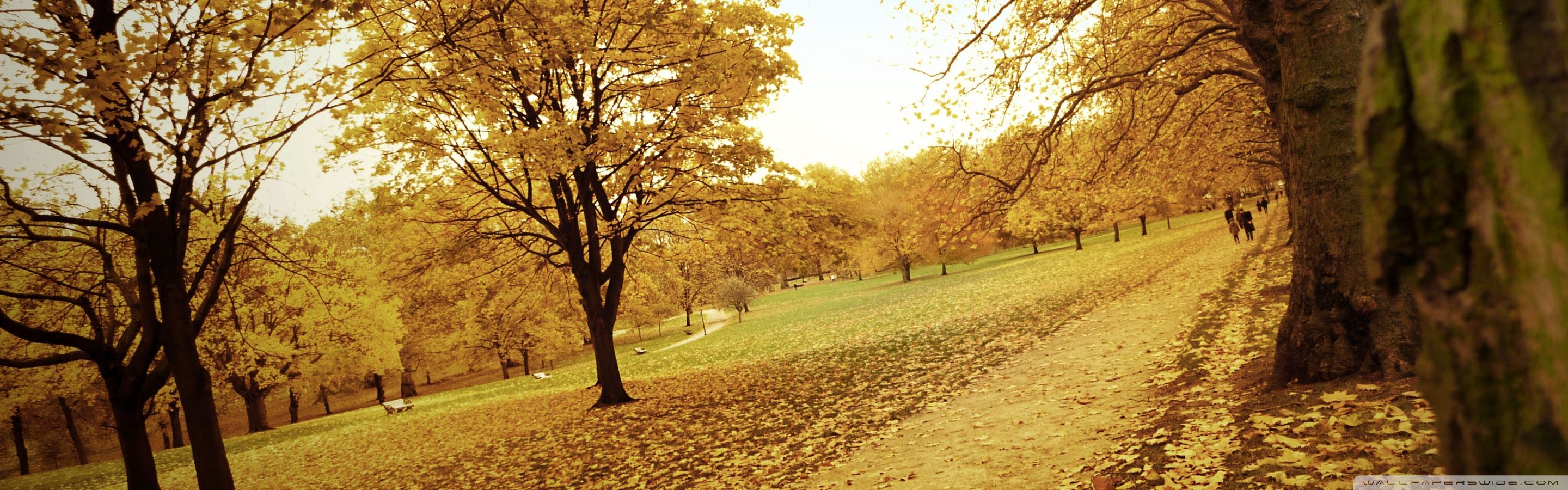 Old Days Wallpapers - Top Free Old Days Backgrounds - WallpaperAccess