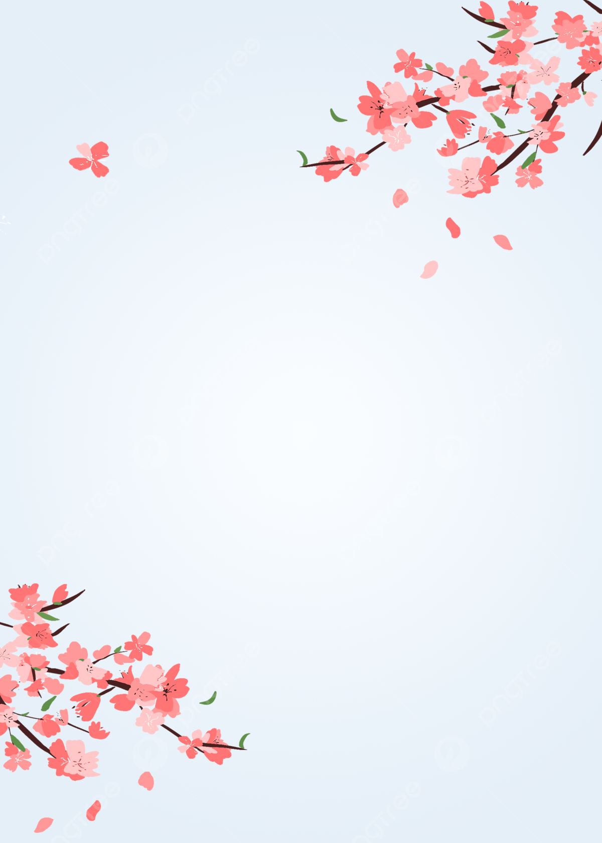 Compare Wallpapers - Top Free Compare Backgrounds - WallpaperAccess