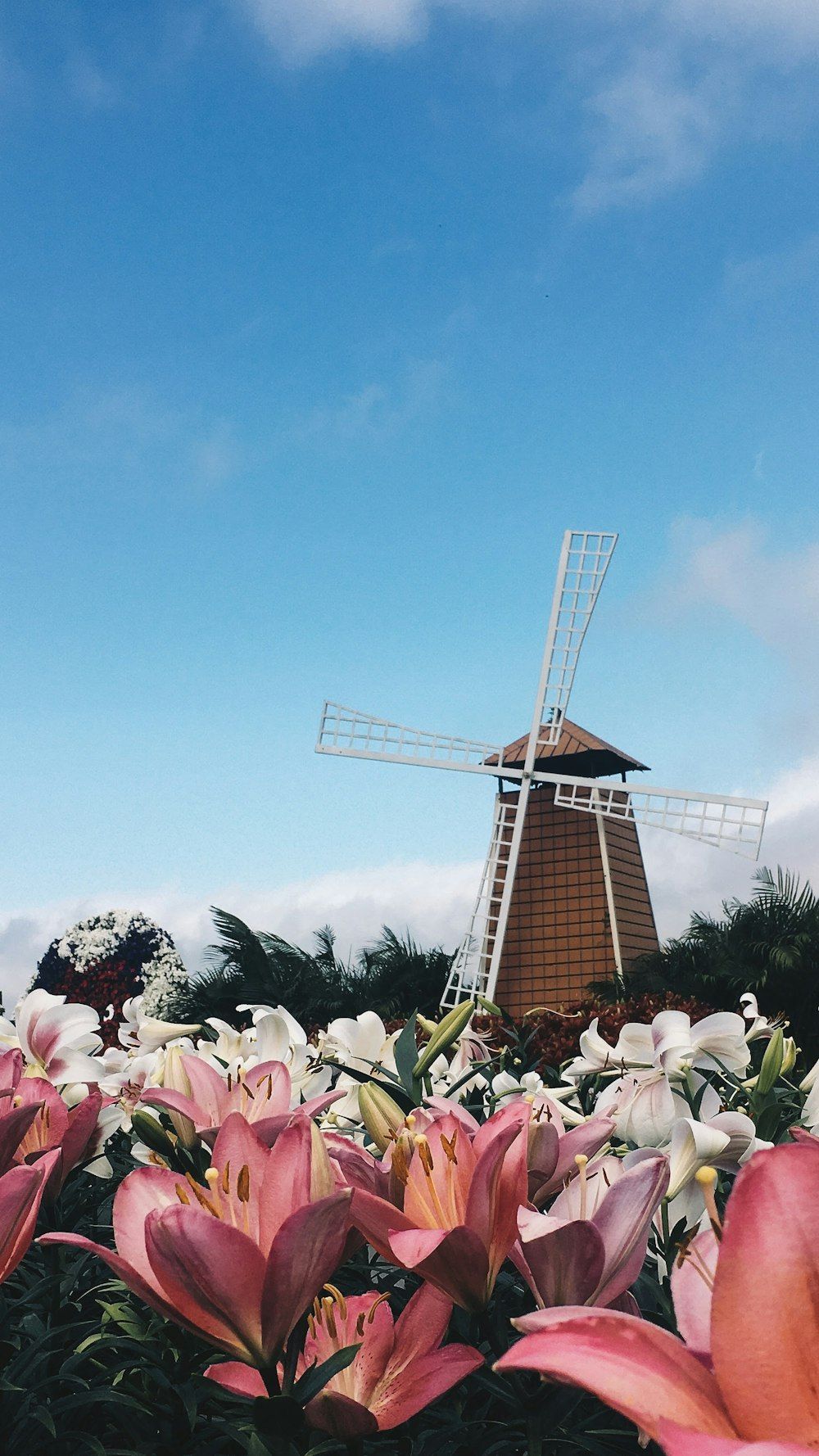 Taichung Wallpapers - Top Free Taichung Backgrounds - WallpaperAccess