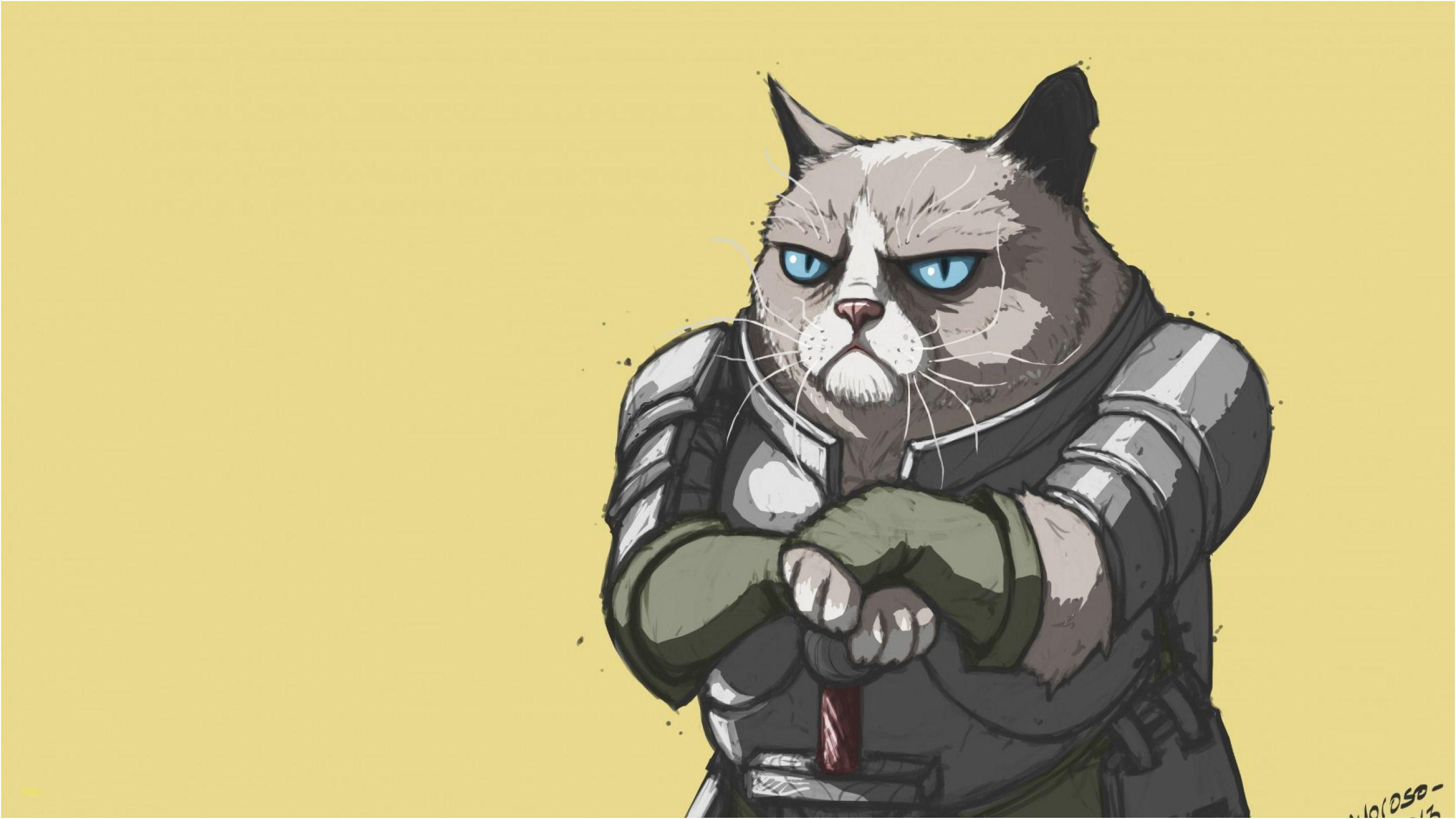 Meme Computer Wallpapers - Top Free Meme Computer Backgrounds ...