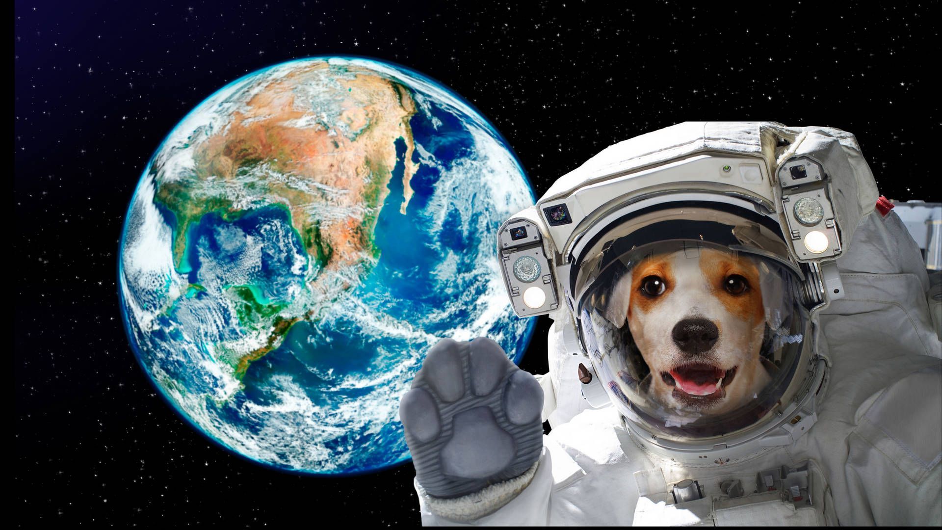 Dog In Space Wallpapers - Top Free Dog In Space Backgrounds ...