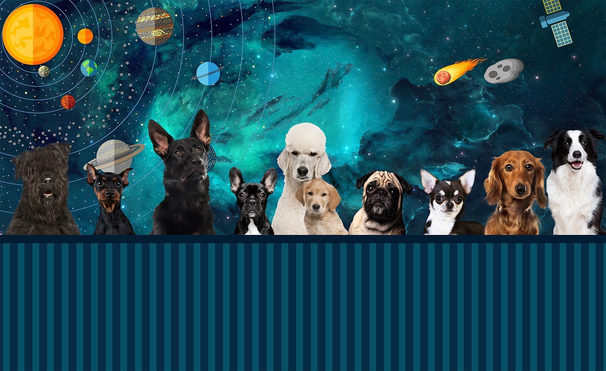 Dog In Space Wallpapers - Top Free Dog In Space Backgrounds ...