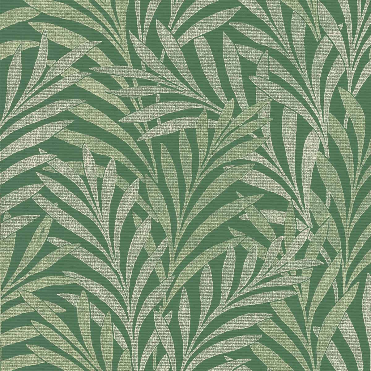 Tea Leaves Wallpapers - Top Free Tea Leaves Backgrounds - WallpaperAccess