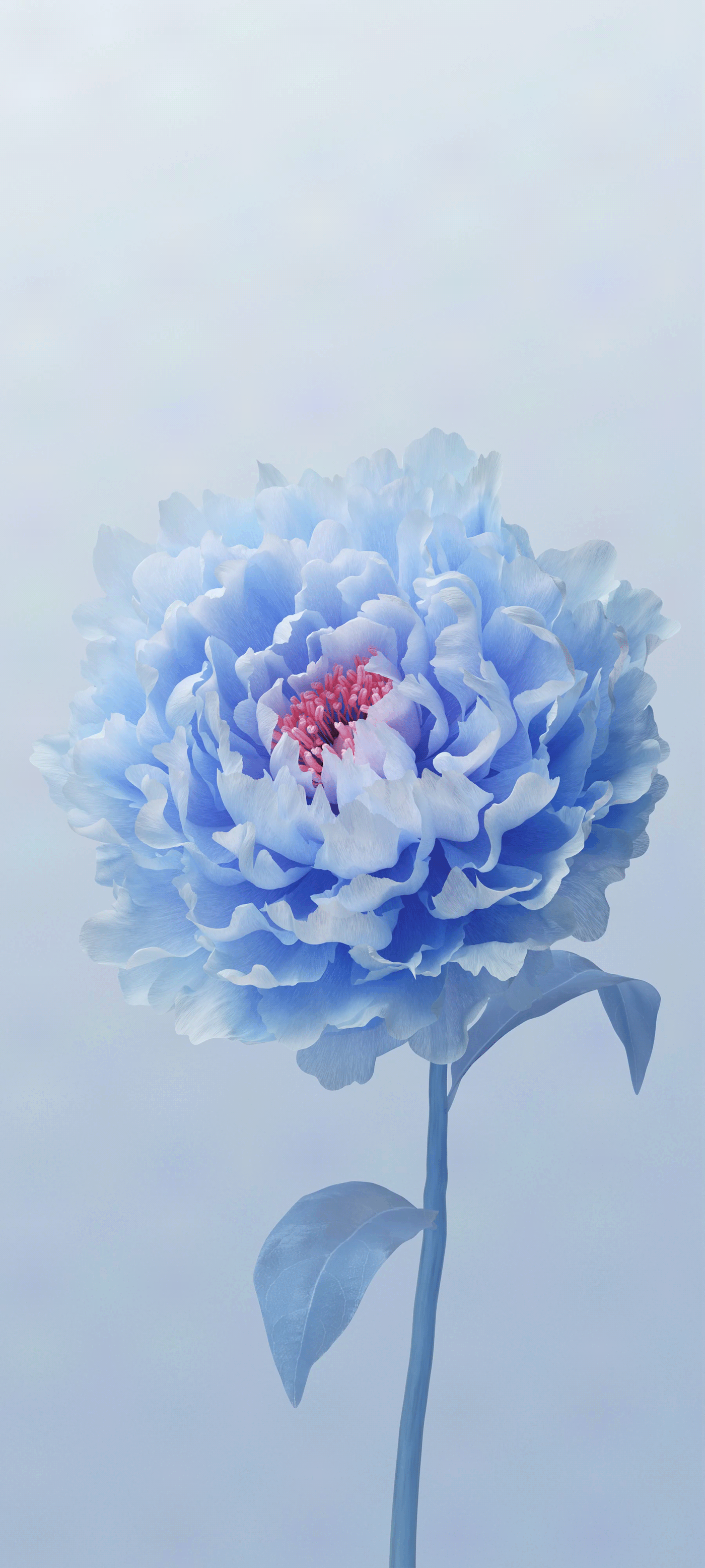 Origin OS Wallpapers - Top Free Origin OS Backgrounds - WallpaperAccess