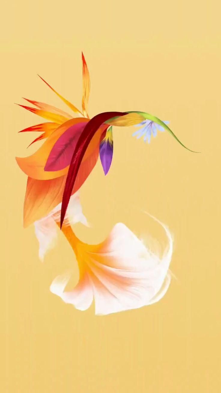 Origin OS Wallpapers - Top Free Origin OS Backgrounds - WallpaperAccess